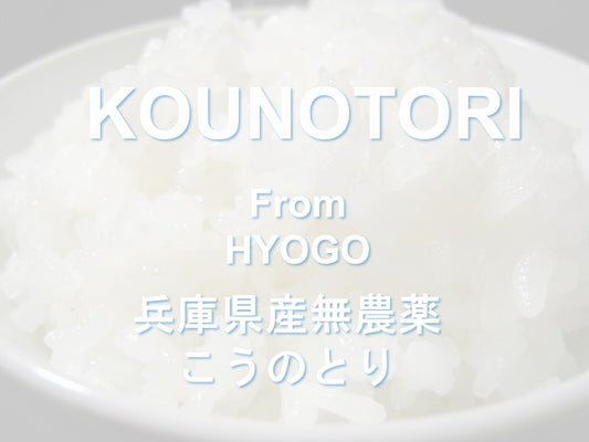 RICE – Page 2 – the rice factory LONDON